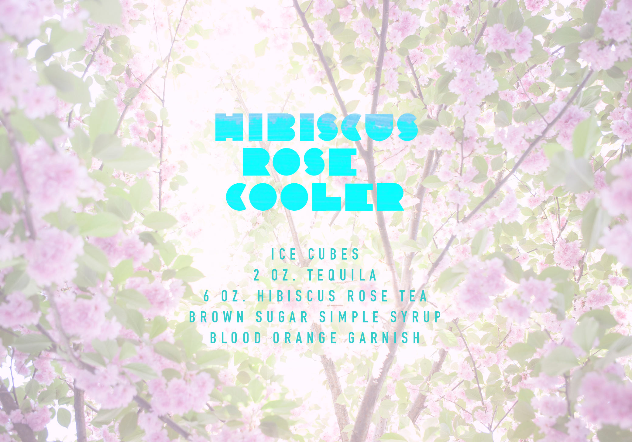 Tiny Atlas Quarterly | Beauty: Brooklyn, New York