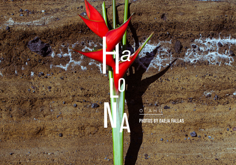 Tiny Atlas Quarterly | Beauty: Oahu, Hawaii