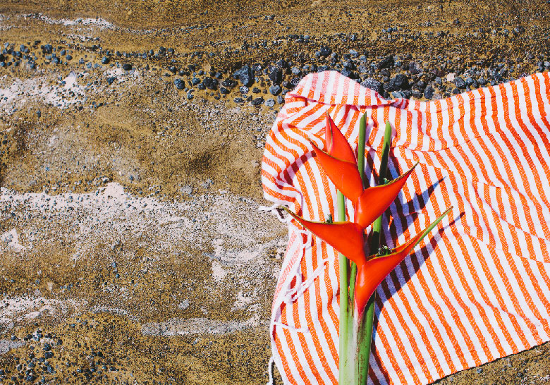 Tiny Atlas Quarterly | Beauty: Oahu, Hawaii