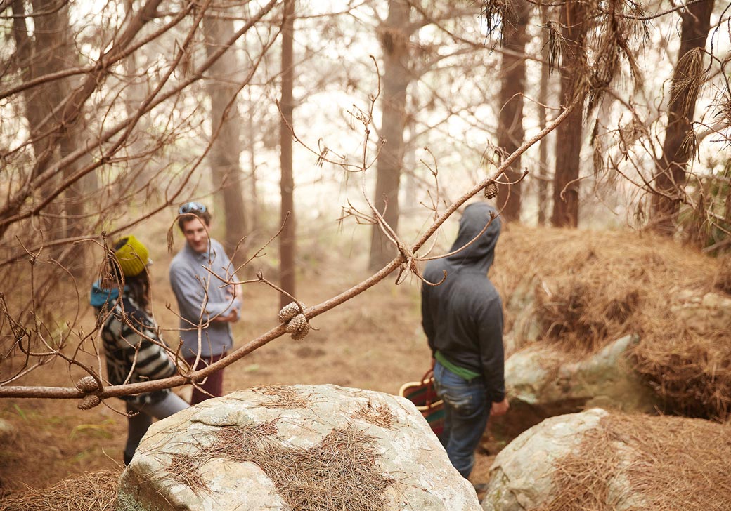 Tiny Atlas Quarterly | Forage: Salt Point, California