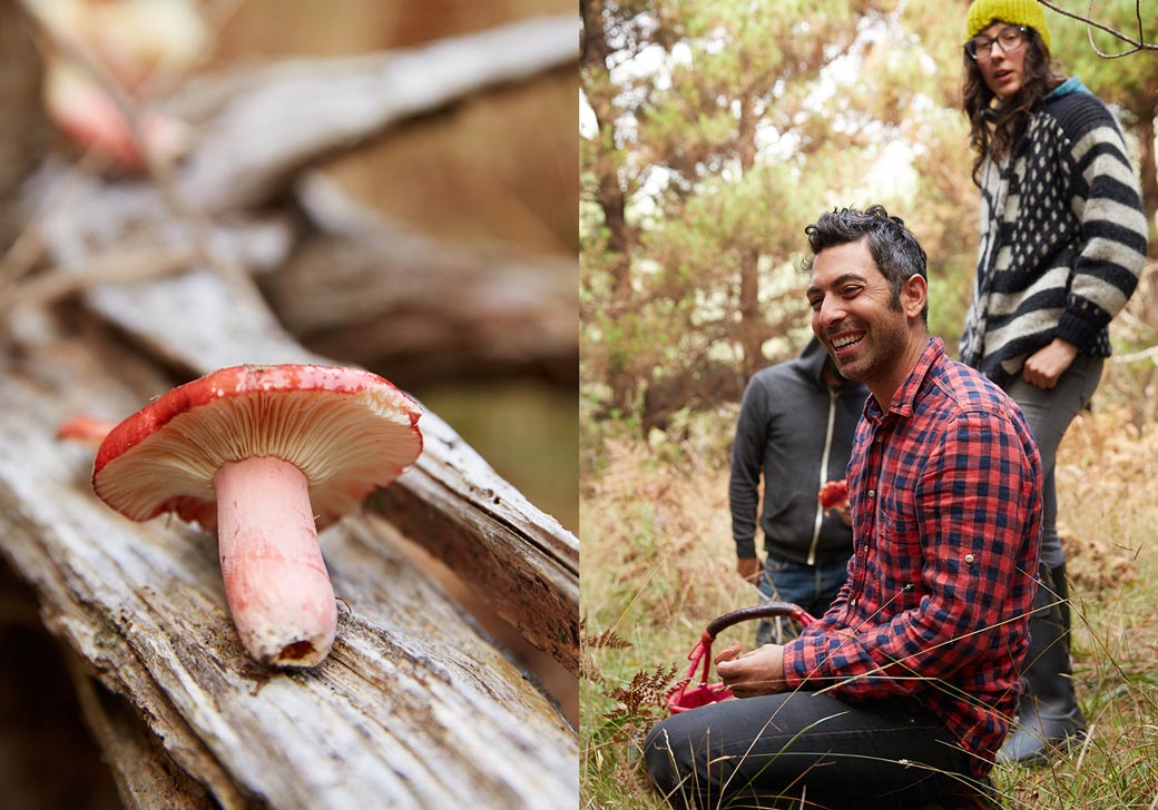 Tiny Atlas Quarterly | Forage: Salt Point, California