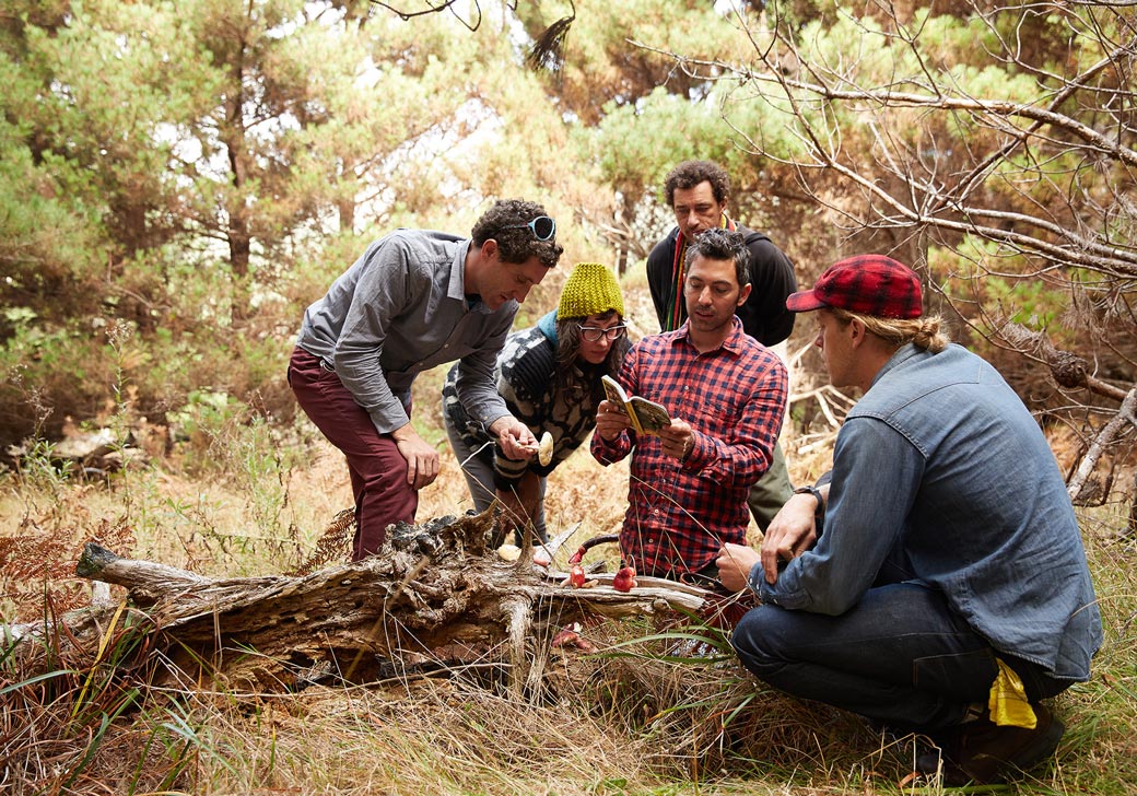 Tiny Atlas Quarterly | Forage: Salt Point, California