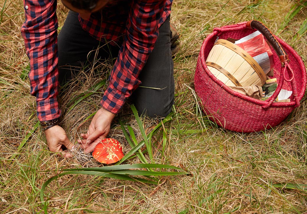 Tiny Atlas Quarterly | Forage: Salt Point, California