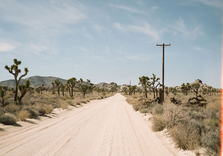 Tiny Atlas Quarterly | Home: Joshua Tree, California